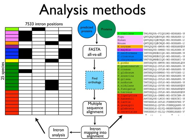 BioPerl: The evolution of a Bioinformatics Toolkit | PPT