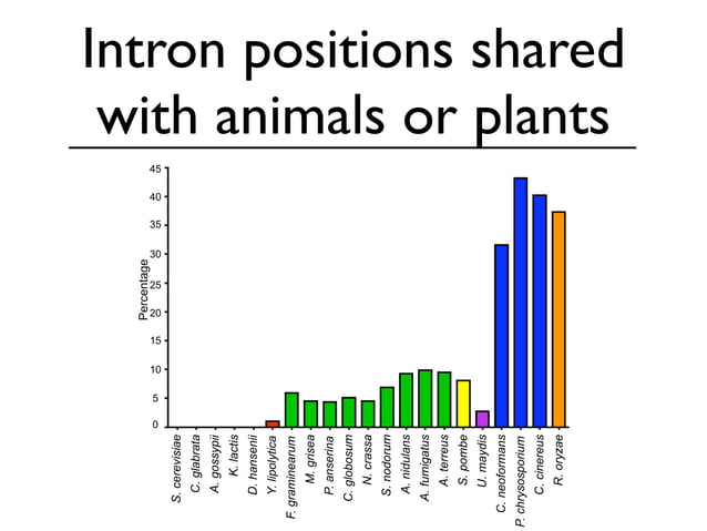 BioPerl: The evolution of a Bioinformatics Toolkit | PPT