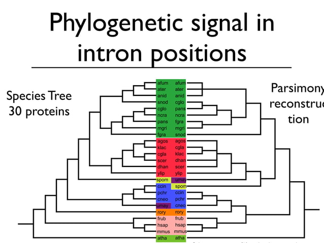 BioPerl: The evolution of a Bioinformatics Toolkit | PPT