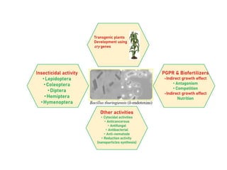 Bio pesticide - Bacillus thuringiensis PPT.pptx