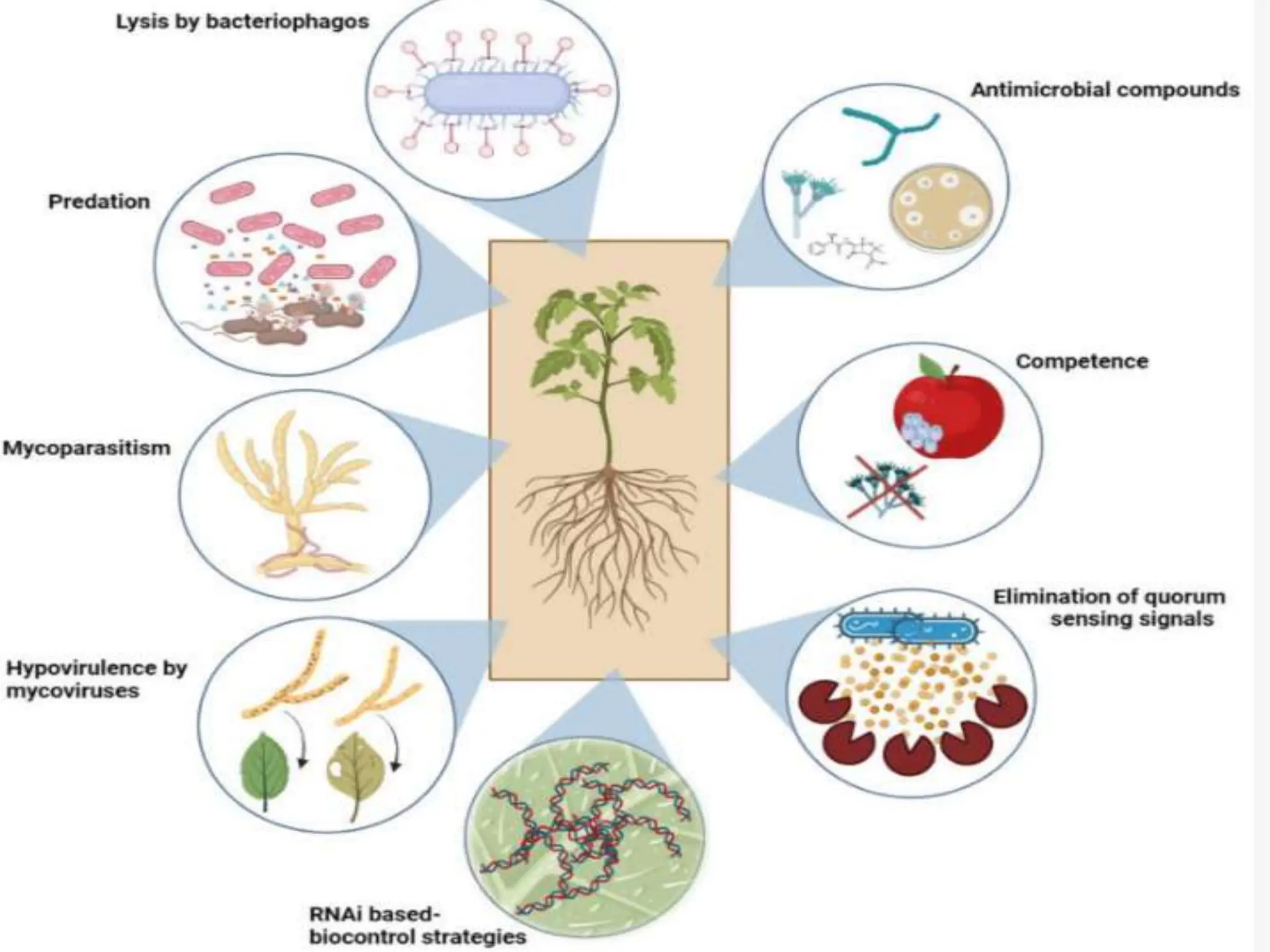 Biopesticide (2).pptx .This slides helps to know the different types of ...
