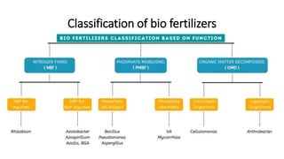 Biopesticide & Biofertilizer - useful for Biotechnology | PPTX