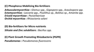 Biopesticide & Biofertilizer - useful for Biotechnology | PPTX