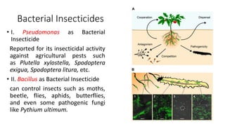 Biopesticide & Biofertilizer - useful for Biotechnology | PPT