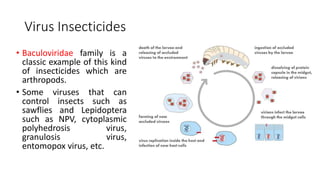 Biopesticide & Biofertilizer - useful for Biotechnology | PPT