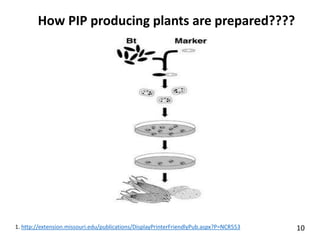 Biopesticide | PPTX