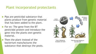 Introduction of pesticides and Biopesticide | PPTX