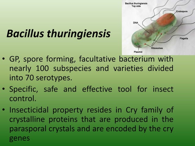 Biopesticides | PPTX