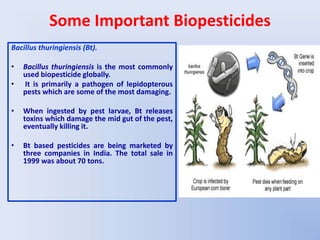 Biopesticides | PPT