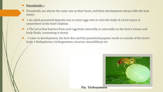 Biopesticides | PPTX