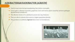 Biopesticides | PPTX