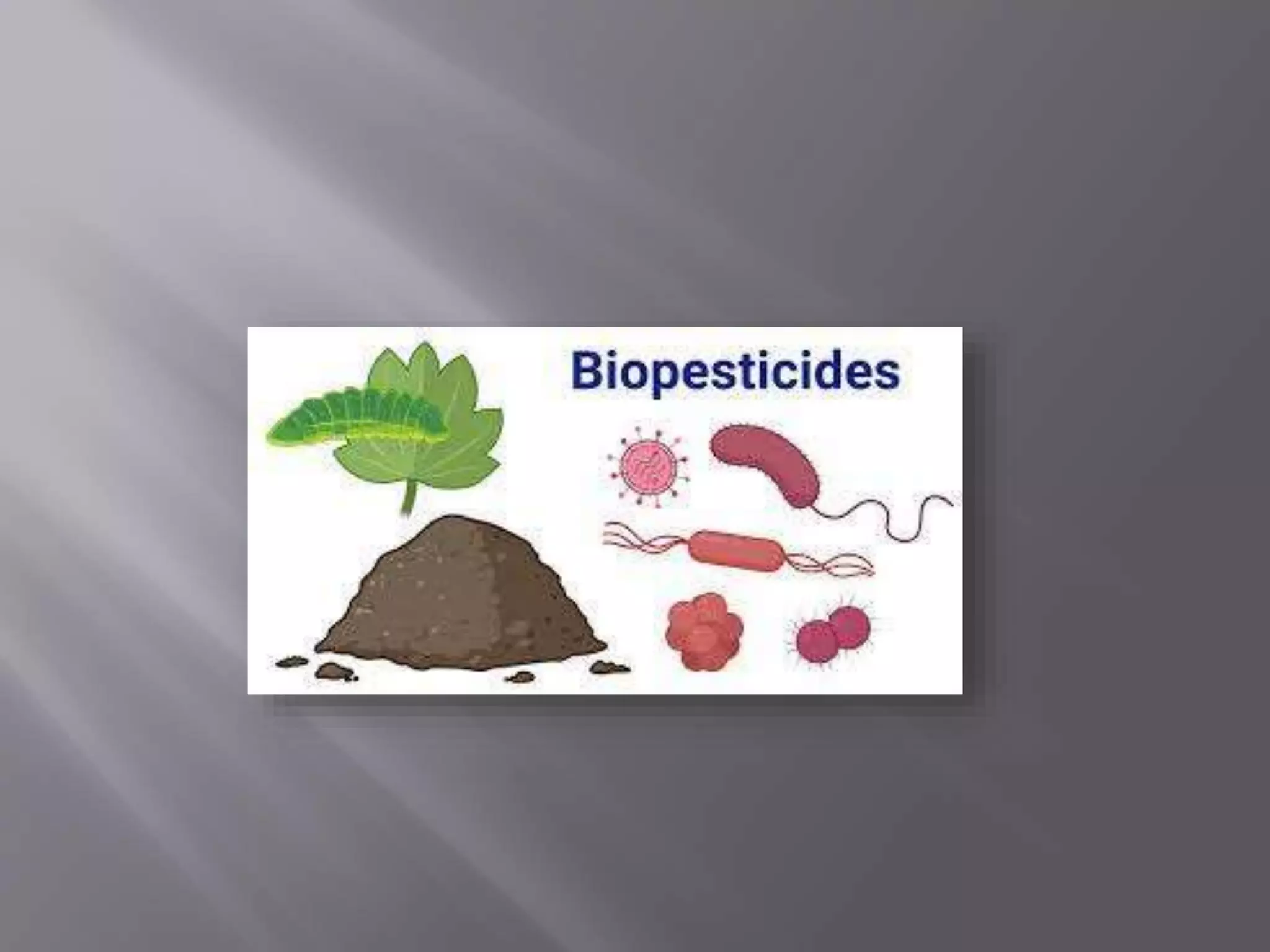 biopesticides.pptx