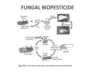 BIOPESTICIDES.pptx
