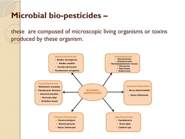 Introduction to the Biopesticides.pptx