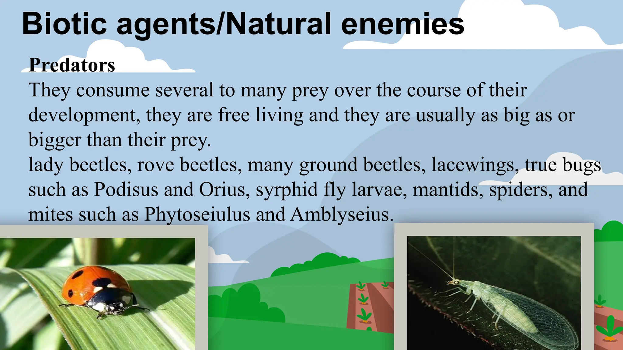 biopesticides report for college studentspptx | PPTX