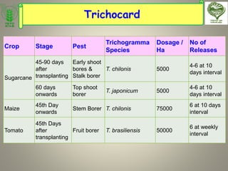 Biopesticides in opm | PPTX