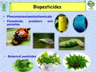 Biopesticides in opm | PPTX