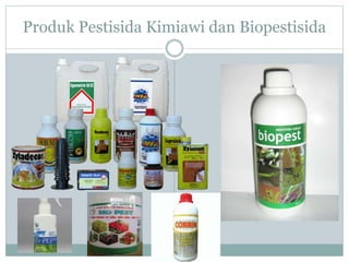 Biopestisida | PPTX