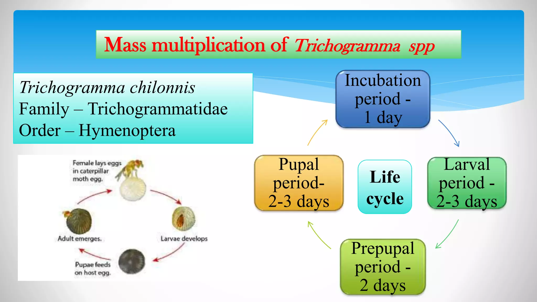 Biopestiside types and mass multiplication.pptx