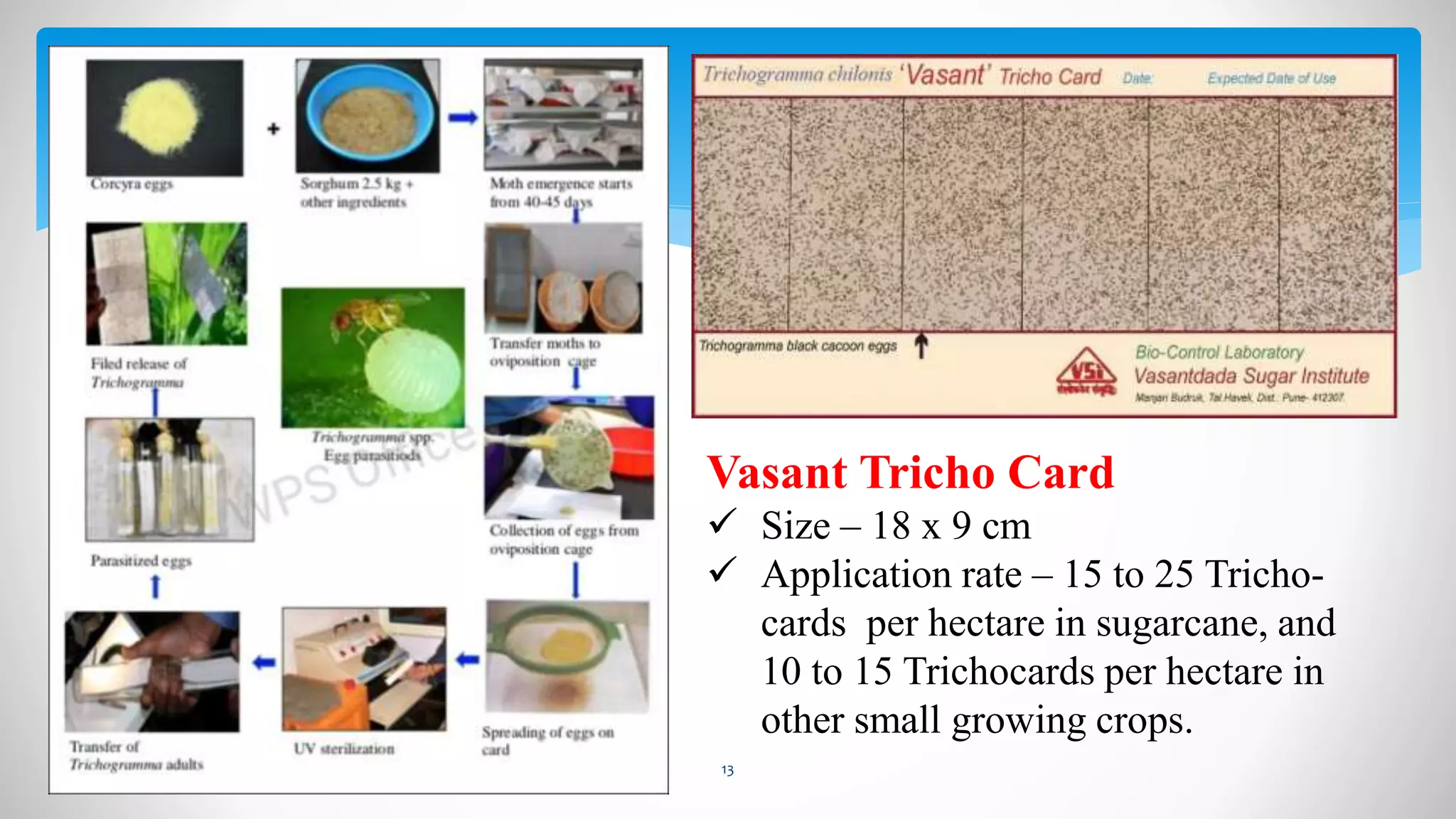 Biopestiside types and mass multiplication.pptx
