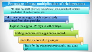 Biopestiside types and mass multiplication.pptx