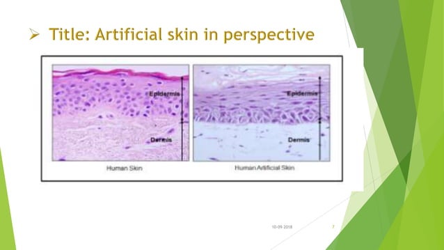 CELL LINES CULTURED FOR DERMAL ABSORPTION | PPT