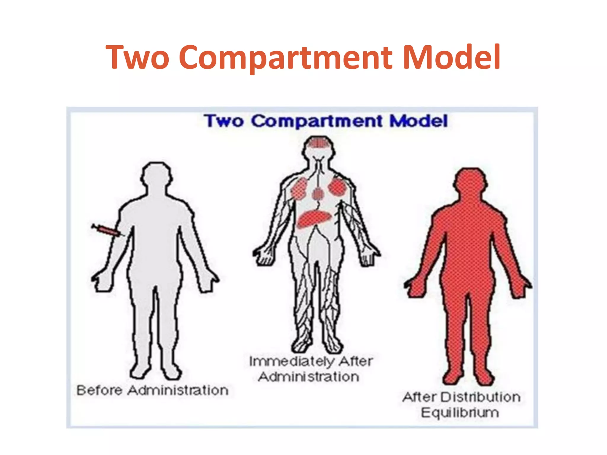 Multicompartment Models | PDF
