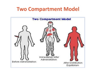 Multicompartment Models | PDF
