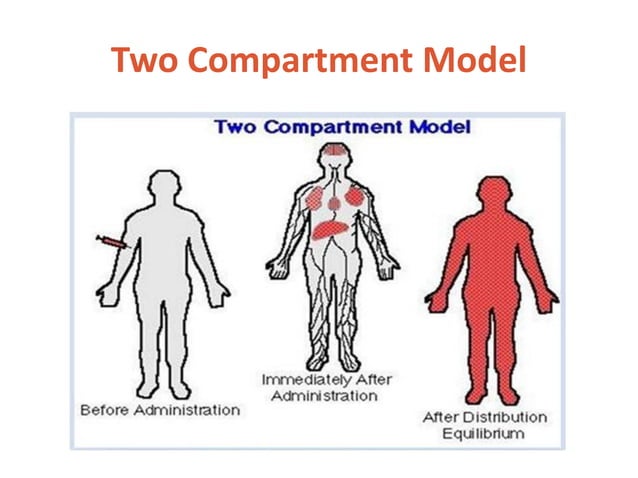 Multicompartment Models | PDF | Lung and Respiratory Health | Diseases ...