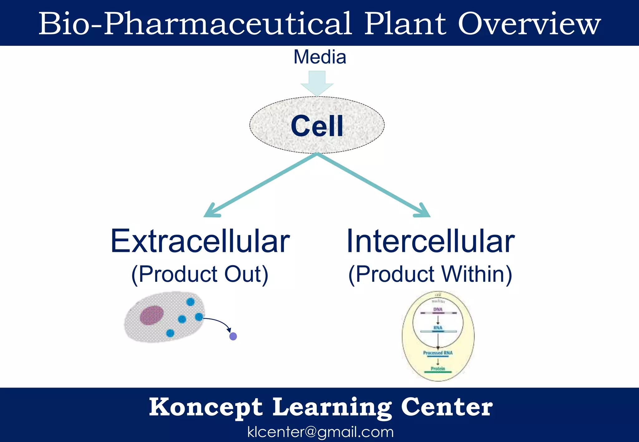 Biopharmaceutical plant overview | PPT