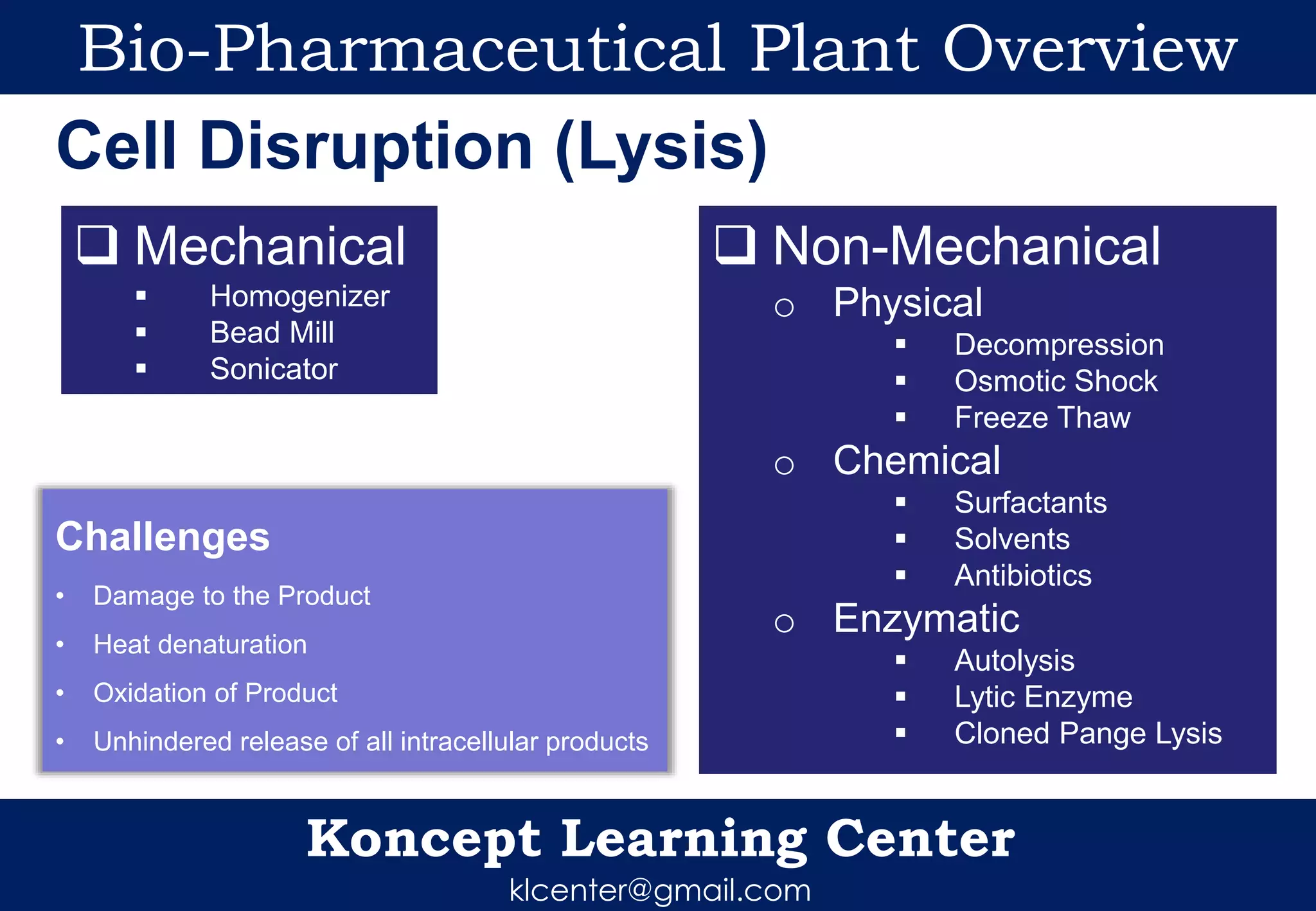 Biopharmaceutical plant overview | PPT