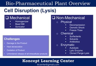 Biopharmaceutical plant overview | PPTX