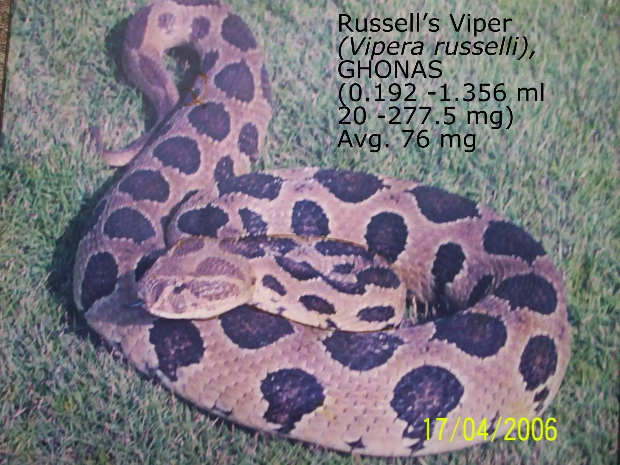 Biopharmaceuticals (An Antivenom perspective) | PPTX