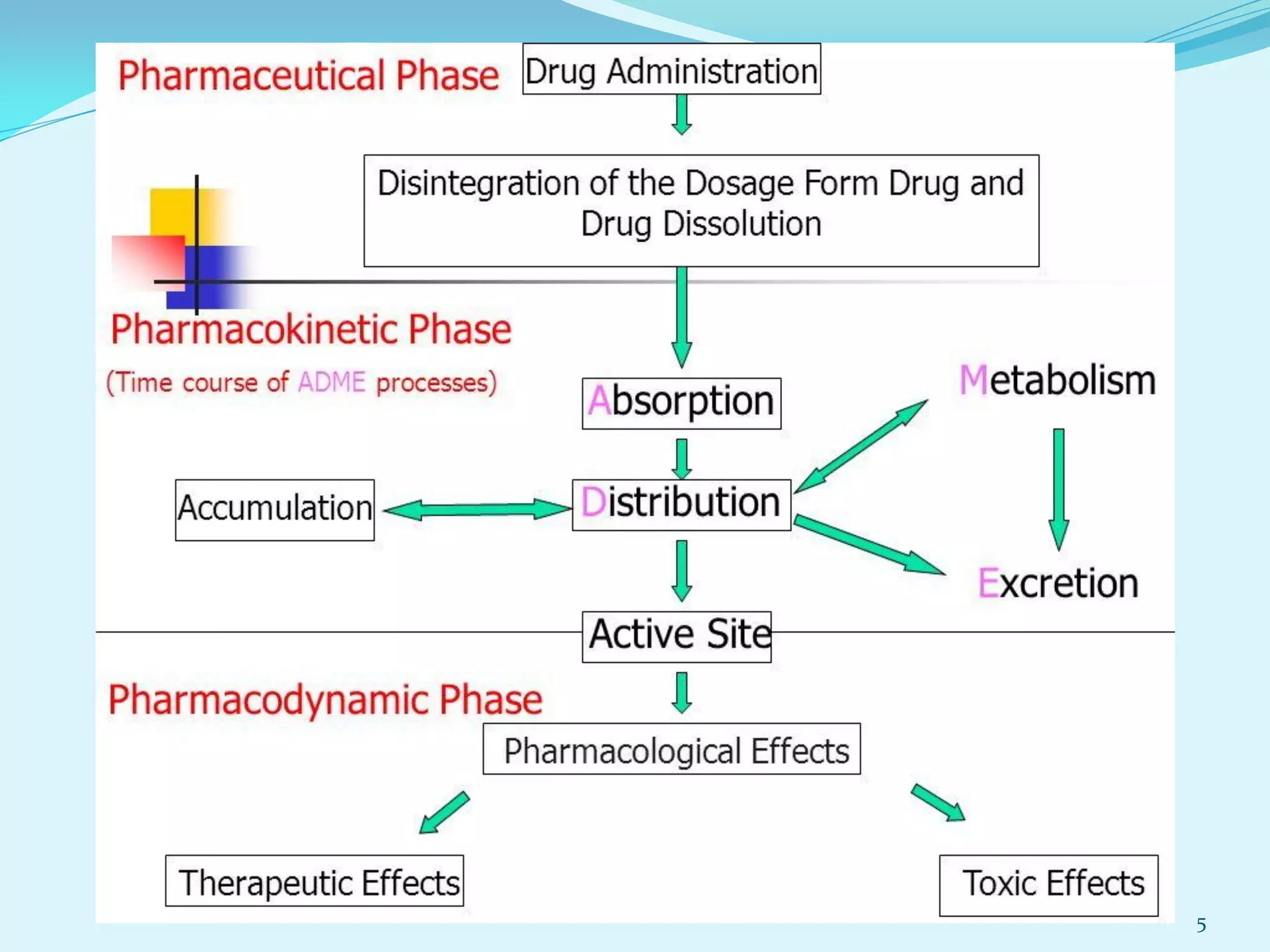 Biopharmaceutics: Mechanisms of Drug Absorption | PDF
