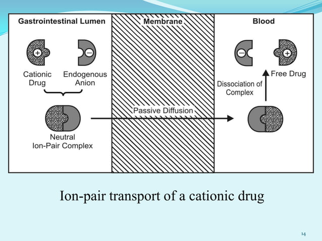 Biopharmaceutics: Mechanisms of Drug Absorption | PDF