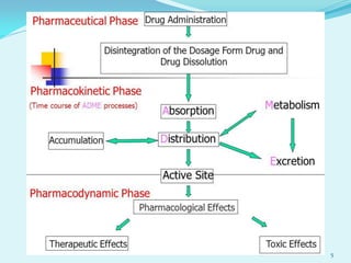 Biopharmaceutics: Mechanisms of Drug Absorption | PDF