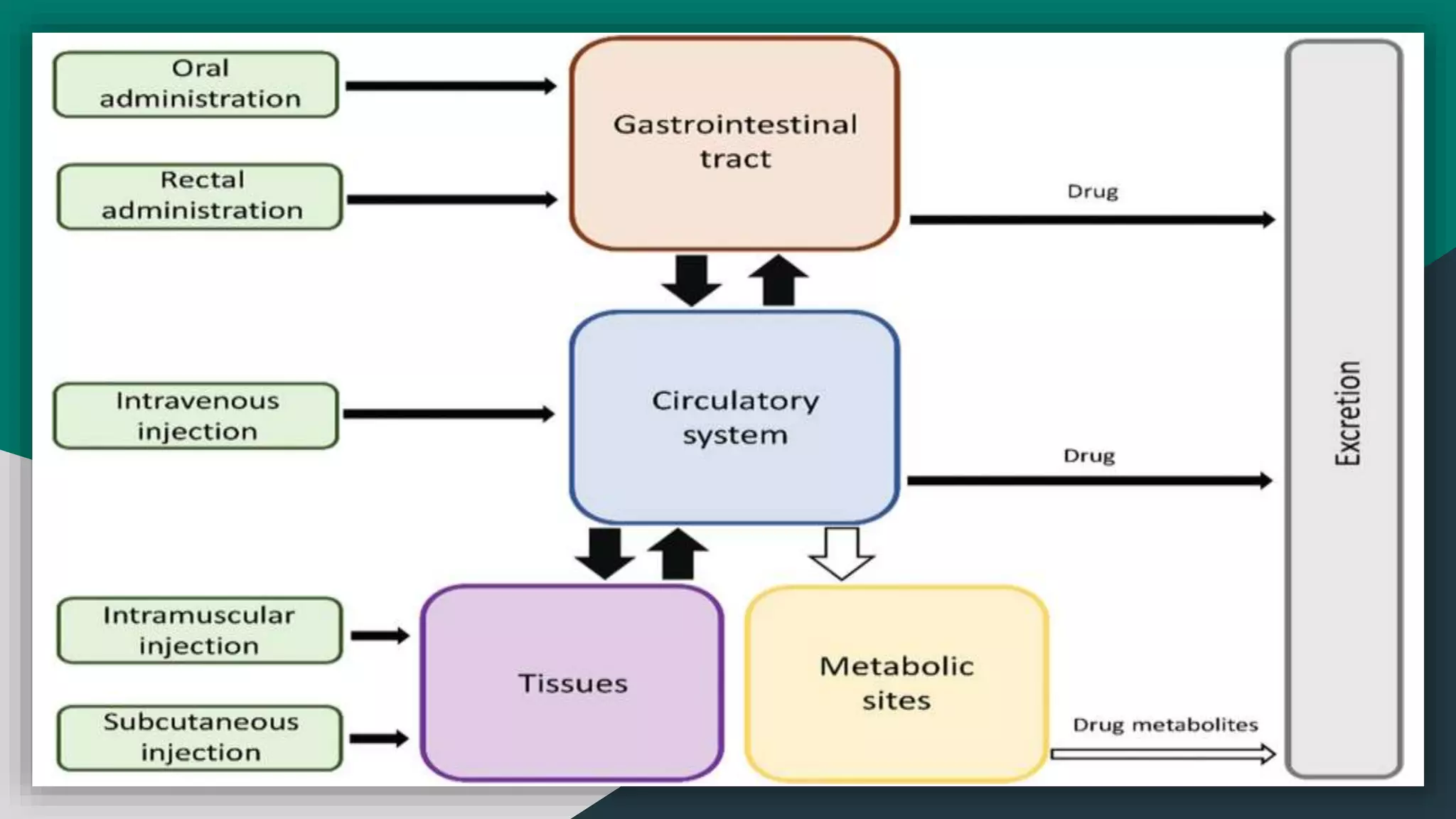 ELIMINATION OF DRUGS BIOPHARMACEUTICS | PPTX