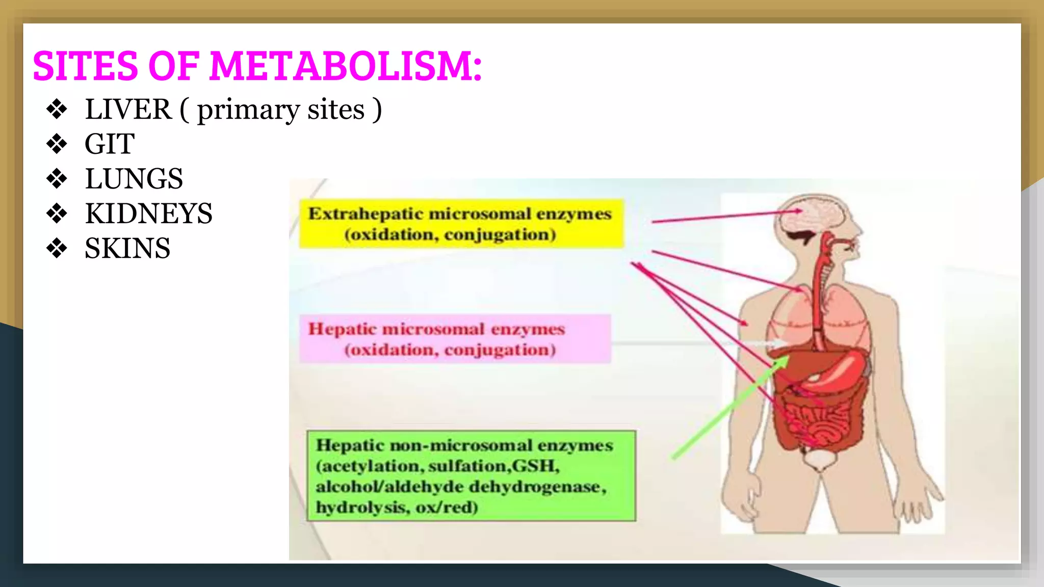 ELIMINATION OF DRUGS BIOPHARMACEUTICS | PPTX