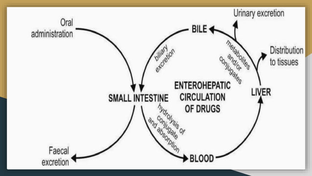 ELIMINATION OF DRUGS BIOPHARMACEUTICS | PPTX | Endocrine and Metabolic ...