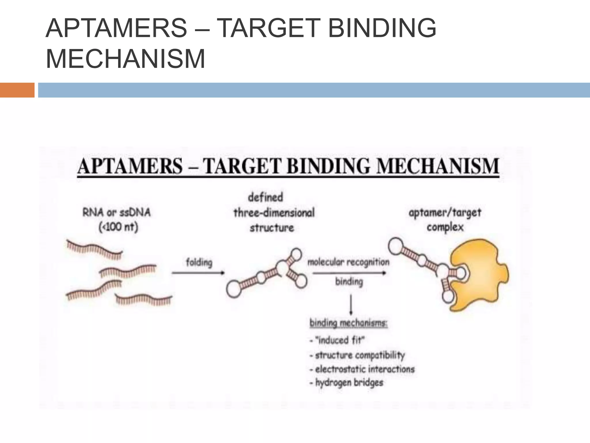 Biopharmaceutics of antisense molecule and aptamers | PPTX