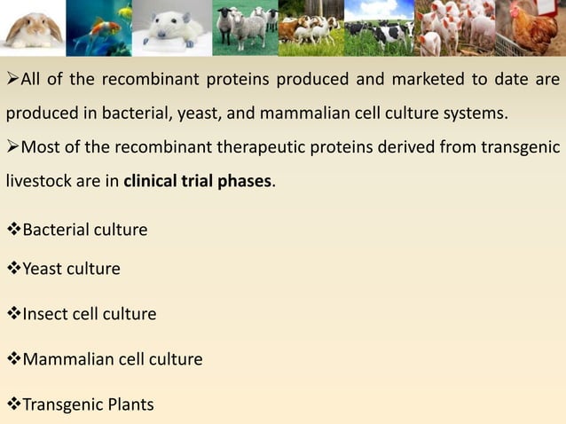 BioPharming (Molecular Farming) | PPTX | Biotech and Biomedical ...
