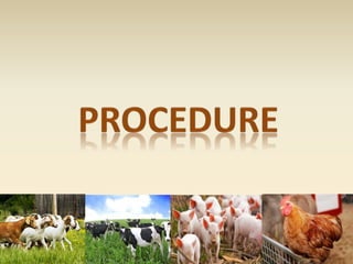 BioPharming (Molecular Farming) | PPTX