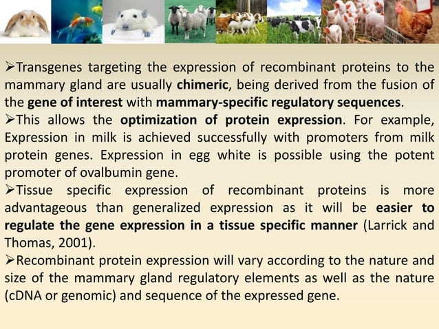 BioPharming (Molecular Farming) | PPTX | Biotech and Biomedical ...