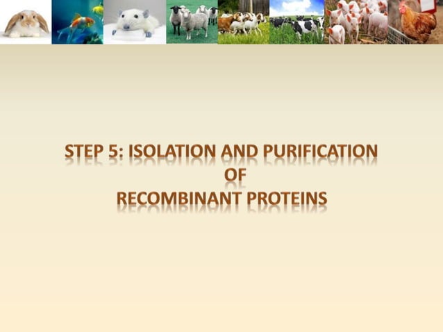 BioPharming (Molecular Farming) | PPTX | Biotech and Biomedical ...