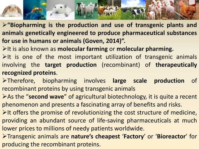BioPharming (Molecular Farming) | PPTX | Biotech and Biomedical ...