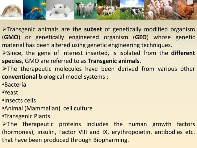 BioPharming (Molecular Farming) | PPTX | Biotech and Biomedical ...