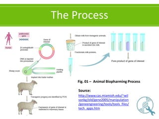 Biopharming - Introduction, Application, benefits and potential threats ...