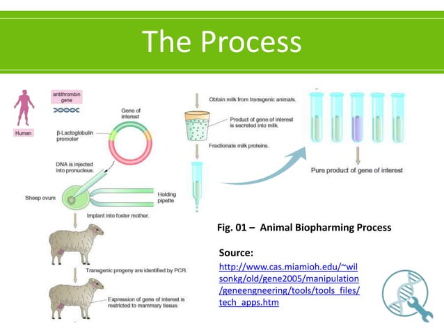 Biopharming - Introduction, Application, benefits and potential threats ...