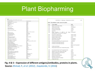 Biopharming - Introduction, Application, benefits and potential threats ...