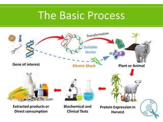 Biopharming - Introduction, Application, benefits and potential threats ...